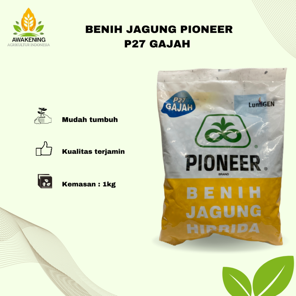 Jual BENIH JAGUNG HIBRIDA PIONEER P27 GAJAH LUMIGEN 1KG | Shopee Indonesia