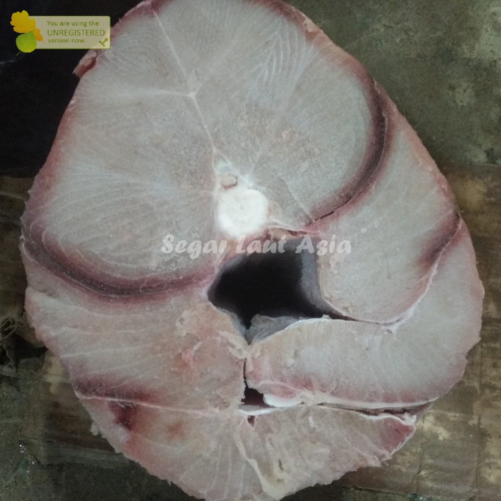 Jual Ikan Cucut Fillet Daging Ikan Hiu Segar 1Kg | Shopee Indonesia