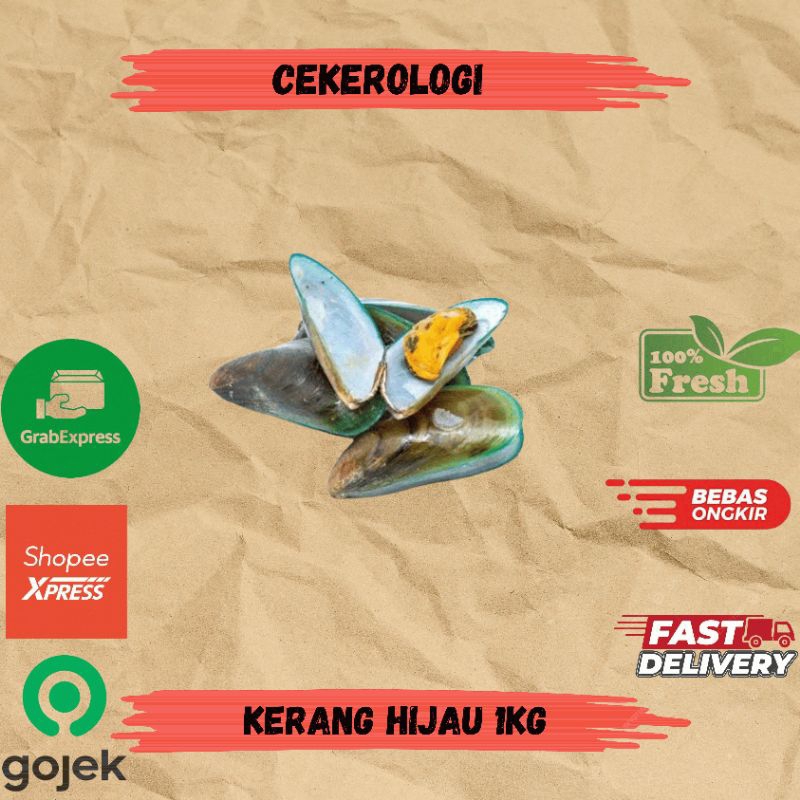 Jual Kerang Hijau 1kg / Kerang Hijau / Kerang / Kerang Hijau Fresh ...