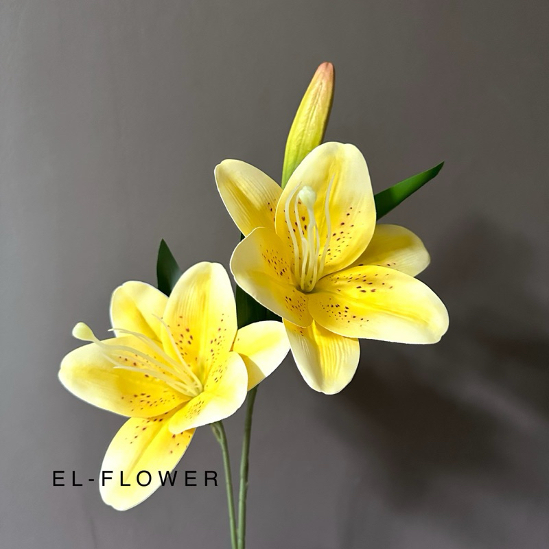 Jual Lily Jumbo 3 Kuntum 1 Kuncup 2 Mekar D15cm Semi Latex bunga ...