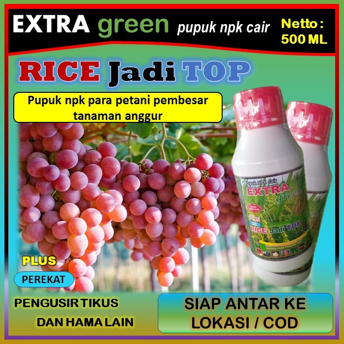 Jual Pupuk tanaman anggur npk cair lengkap ( EKTRA GREEN RICE jadi TOP ) 500 ml - pupuk penyubur ...
