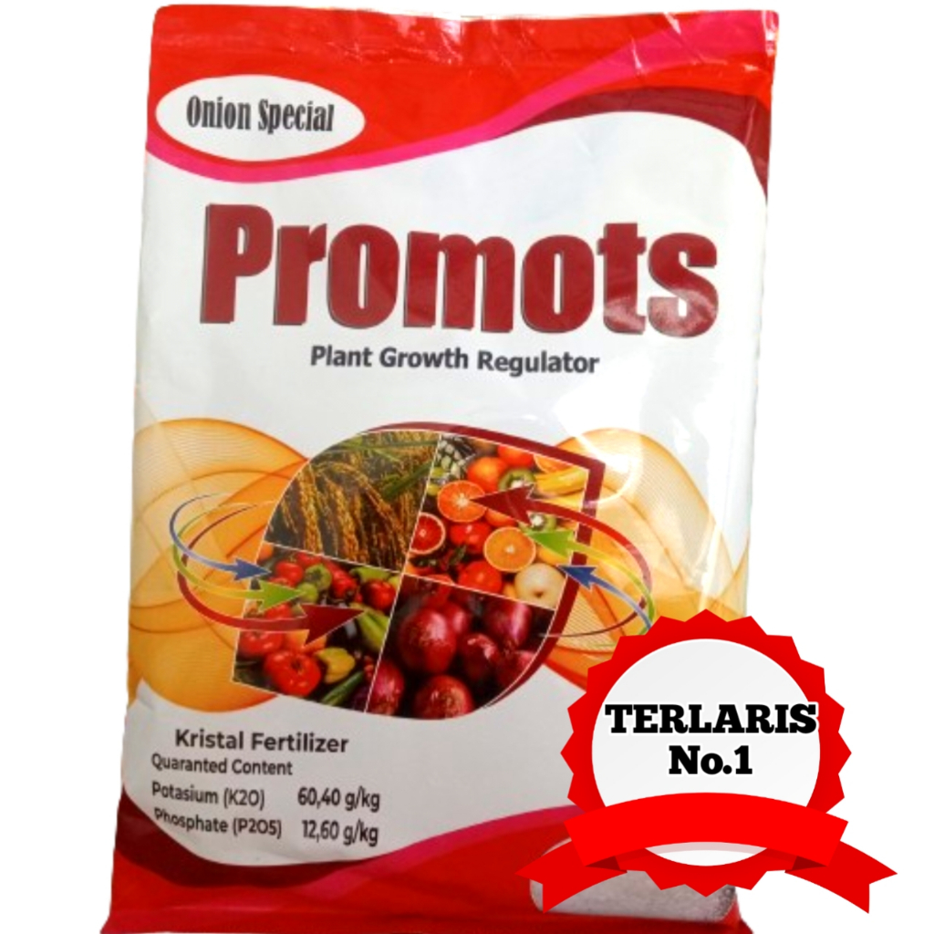 Jual PROMOTS onion special | Shopee Indonesia