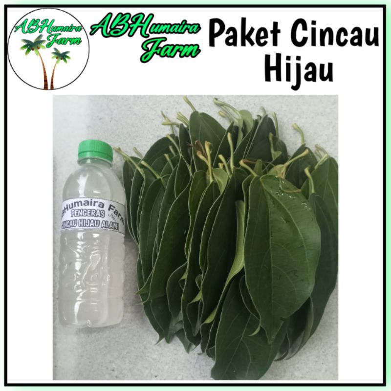 Jual Daun Cincau Hijau Paket Cincau Hijau Dan Tutorial 200gr Daun ...