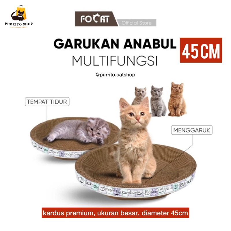 Jual FOCAT Papan Garuk Kucing Anjing Anabul Multifungsi Garukan Kucing ...