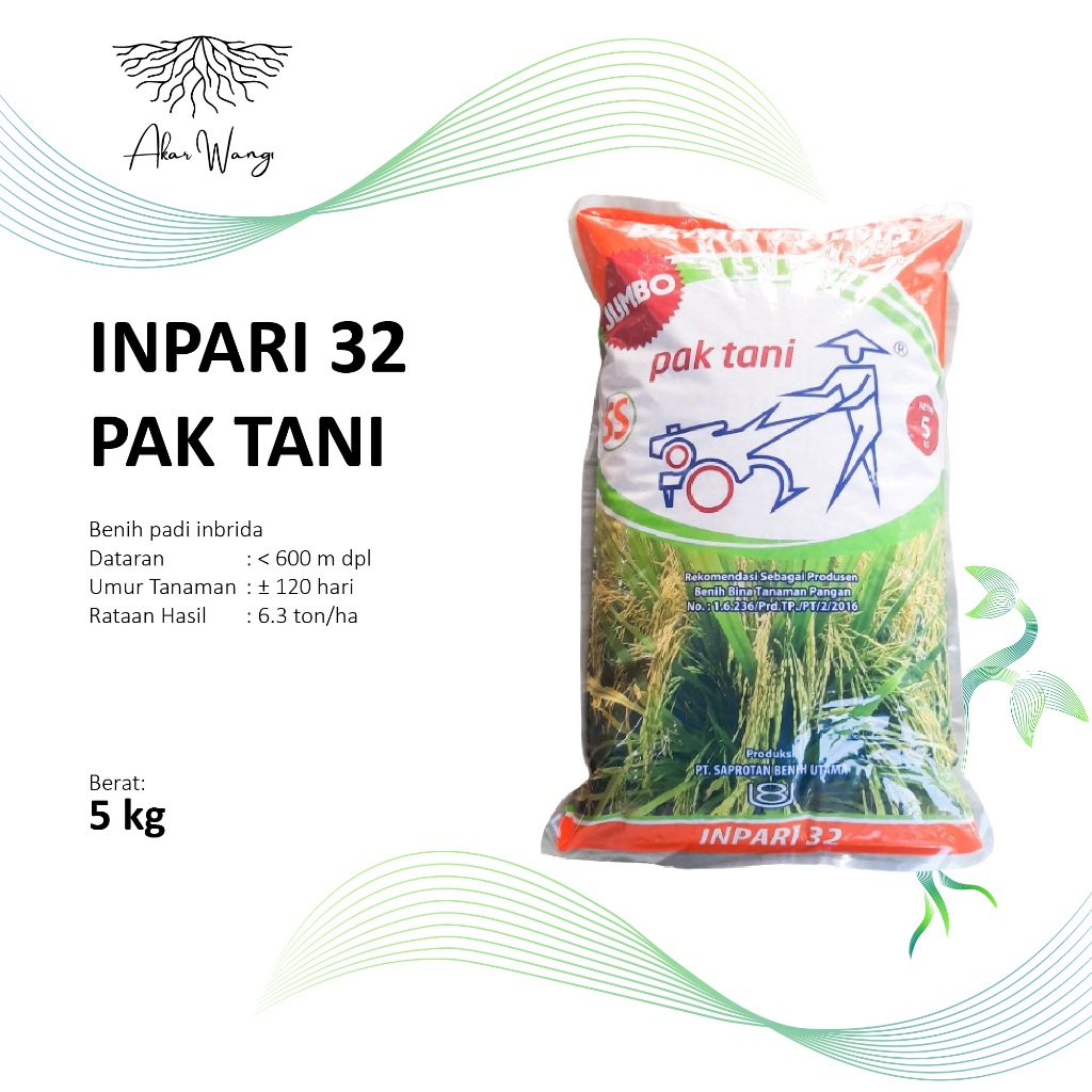 Jual BENIH PADI INPARI 32 PAK TANI 5 KG [EXP 17 MARET 2025] | Shopee Indonesia