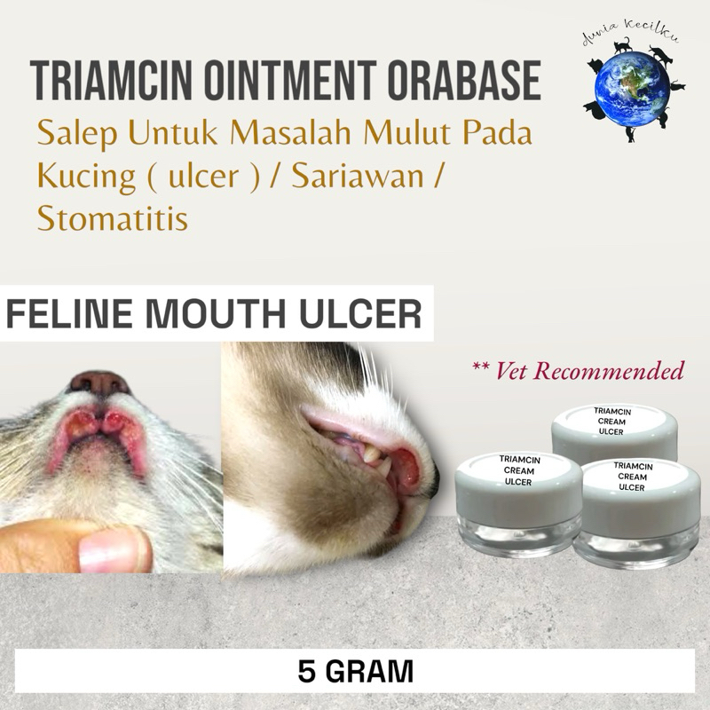 Jual Triamcin Ointment Orabase Salep Obat Untuk Masalah Mulut Pada ...