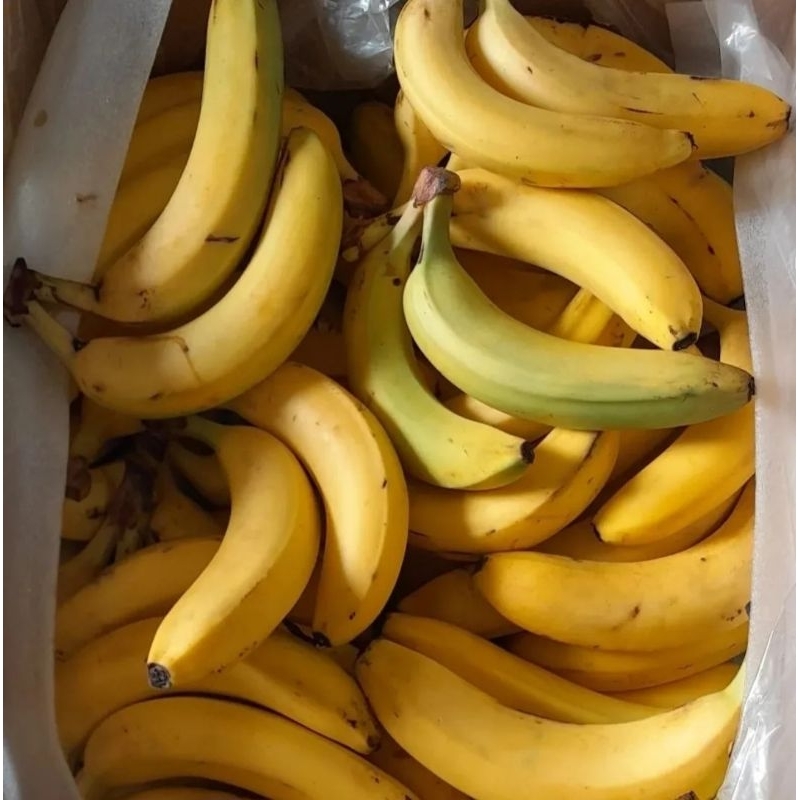 Jual Pisang Cavendish sunpride 1 kg Protolan | Shopee Indonesia