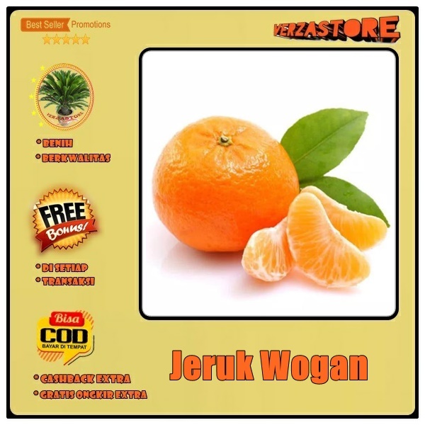Jual Biji Benih Buah Jeruk WOGAN Manis /10 biji | Shopee Indonesia
