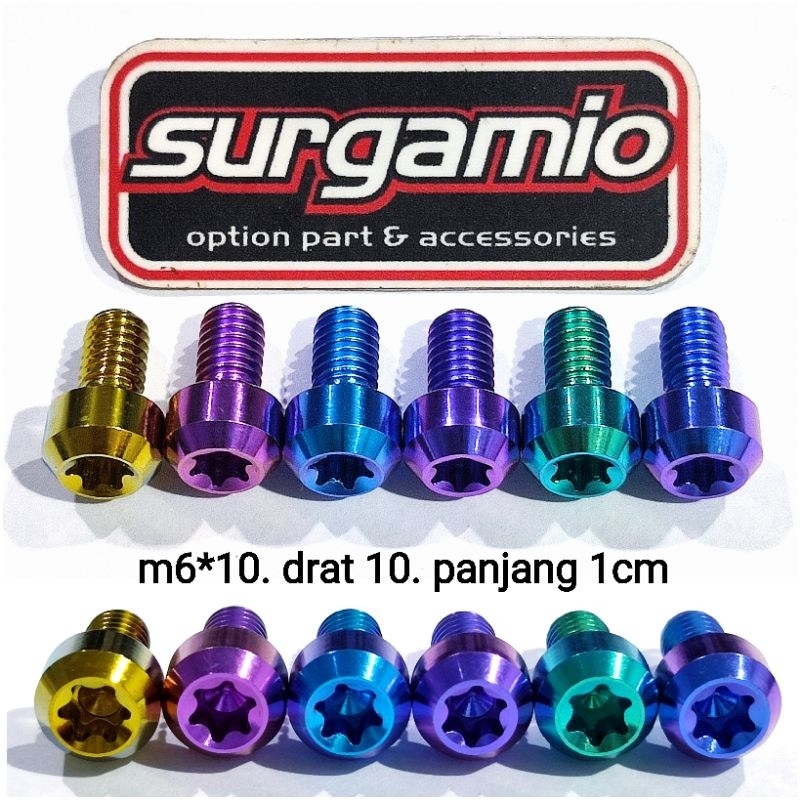 Jual Baut titanium 6x10 small baut titan drat 10 panjang 1 cm Grade 5 Vietnam | Shopee Indonesia