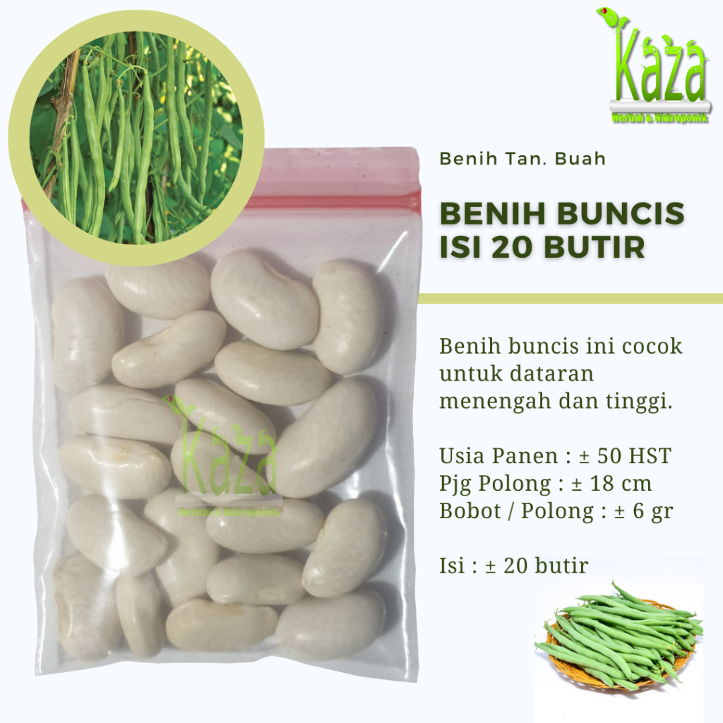 Jual Benih Buncis isi 20 butir | Shopee Indonesia