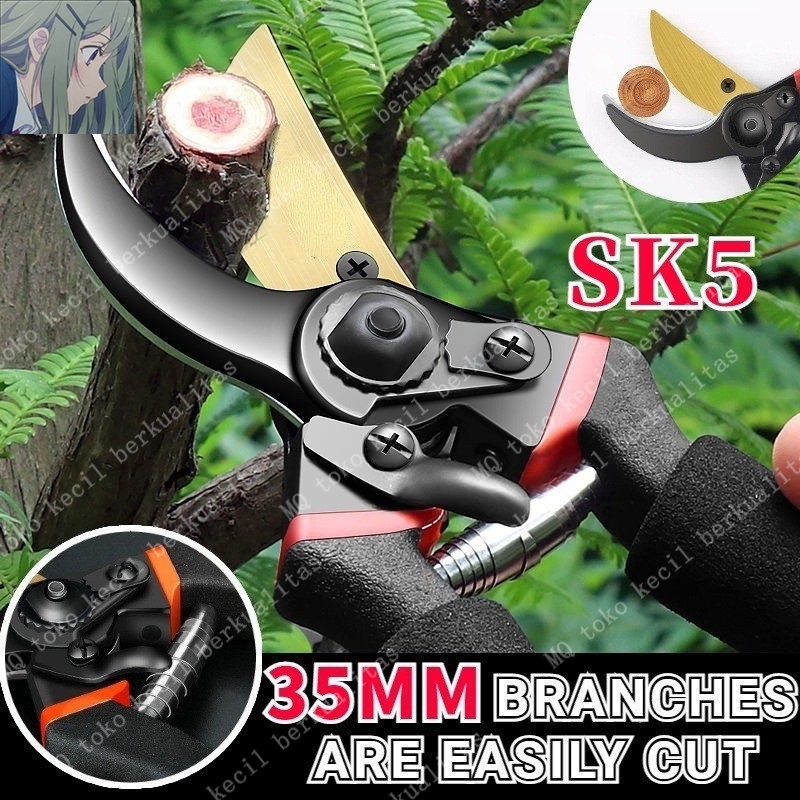 Jual Gunting Pemangkas Taman Baja Tahan Karat, Gunting Cabang Buah ...