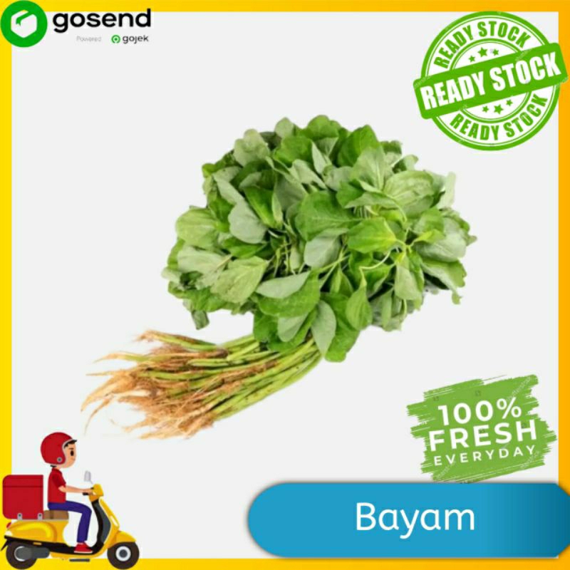 Jual Bayam fresh - sayuran segar - Tukang Sayur Palembang | Shopee ...