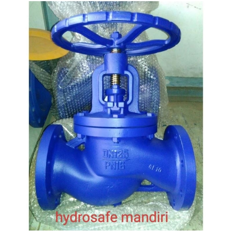 Jual Globe valve steam cast iron flange PN 16 size 3" inch DN80 / Globe PN16 | Shopee Indonesia