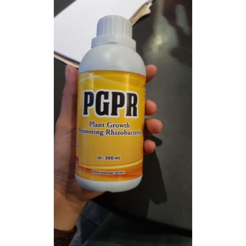 Jual PGPR (Plant Growth Promoting Rhizobacteria) | Shopee Indonesia