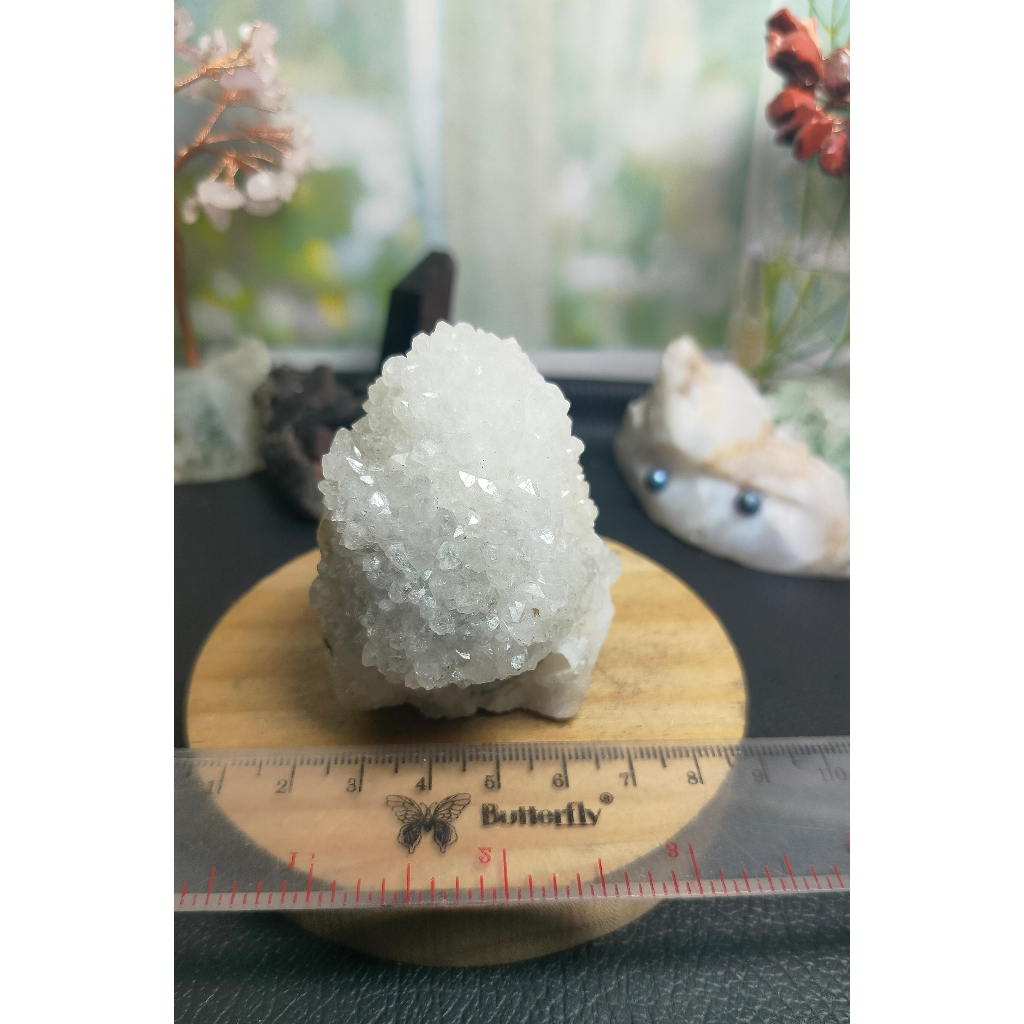 Jual Crystal Natural Clear Quartz Druzy from Cactus Batch Cluster (3) | Shopee Indonesia