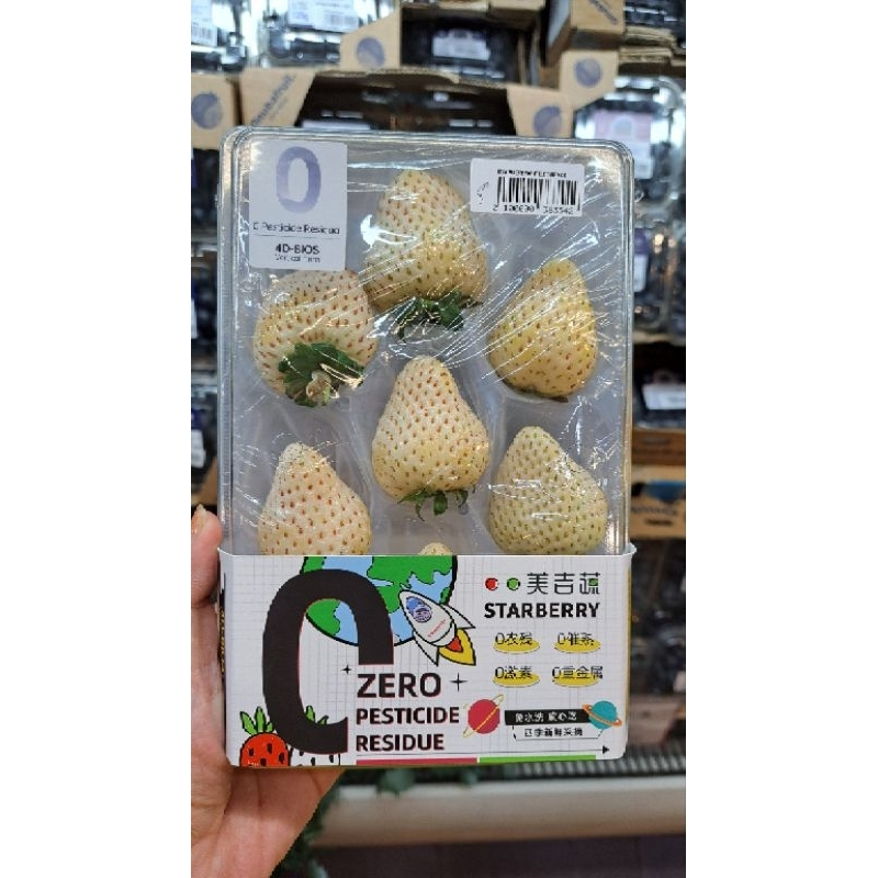 Jual Strawberry White Lotus Import RRC / Pack | Shopee Indonesia