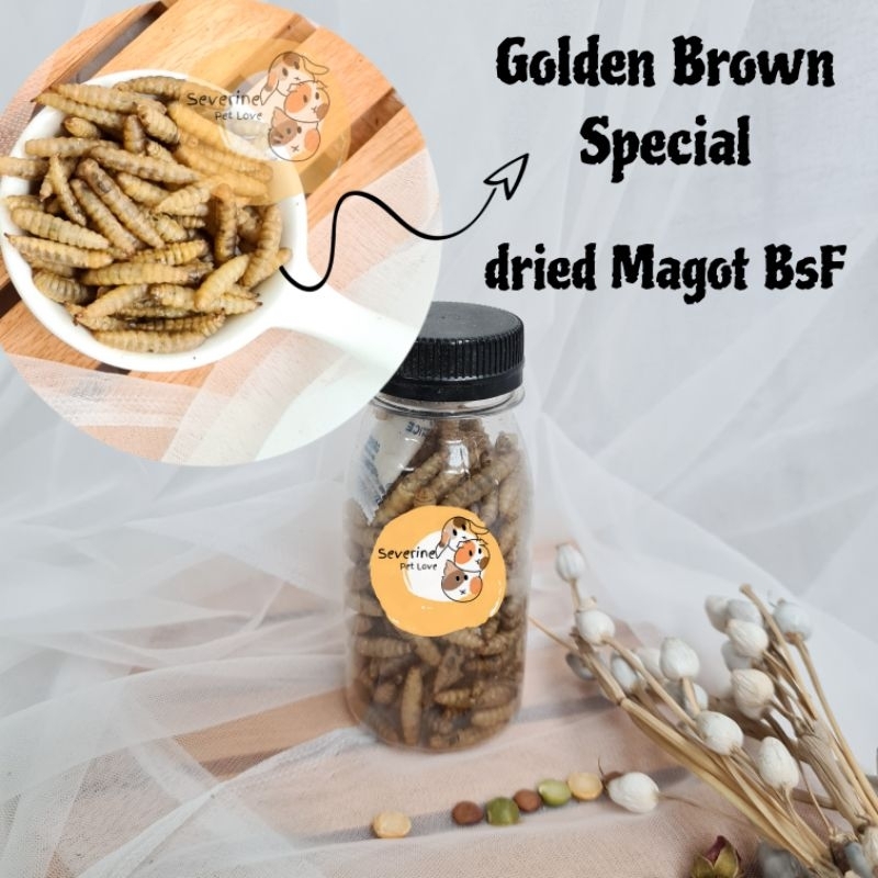 Jual 60ML Organic Dried Magot Bsf | magot kering pakan landak mini ...