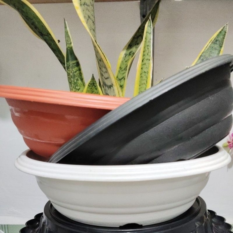 Jual (1pcs) POT BONSAI 25 model pot bonsai ceper | Shopee Indonesia