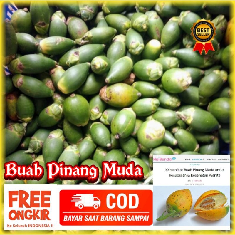 Jual Buah Pinang Muda Fresh / Buah Jambe 1 kg | Shopee Indonesia