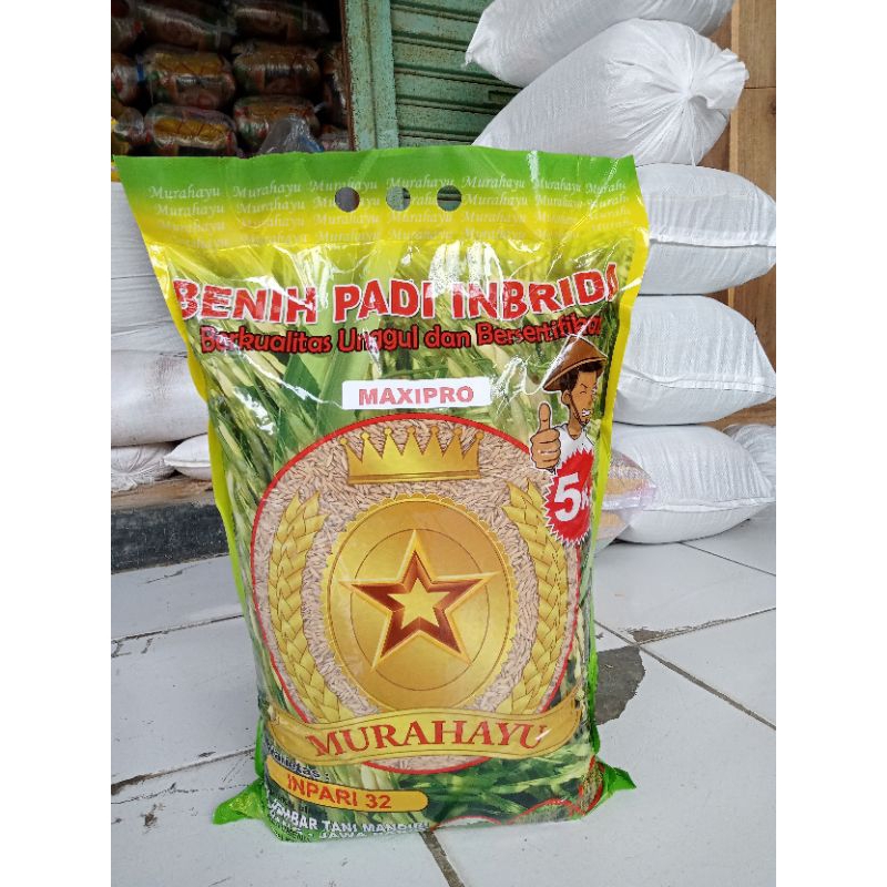 Jual Benih padi Inpari 32 Maxipro berkualitas bersertifikat kemasan 5kg | Shopee Indonesia