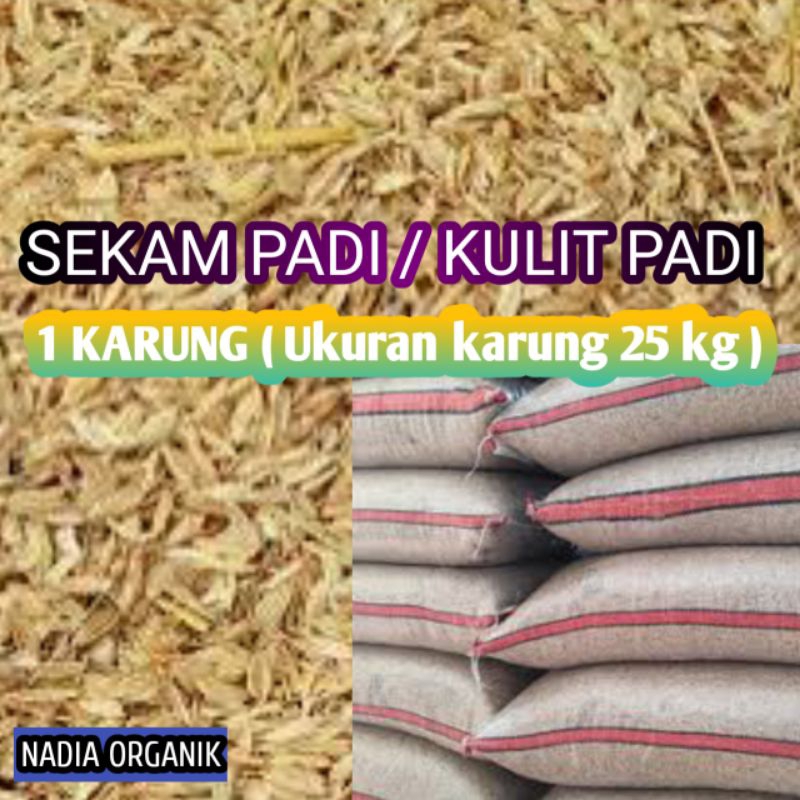 Jual Sekam padi / Kulit padi 1 Karung ( Ukuran karung 25 kg ) | Shopee ...
