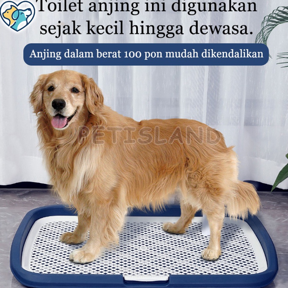 Jual Ukuran Besar Toilet Anjing 65CM5CM65CM Pet Tray Pee Pad Dog Potty ...