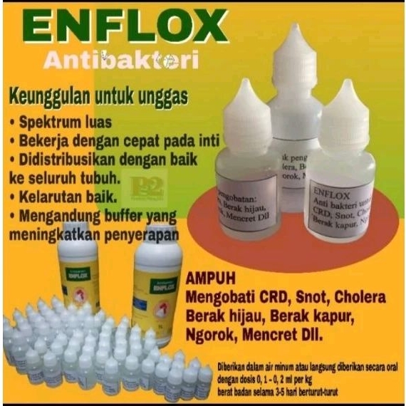 Jual ENFLOX TETES obat ayam, snot crd, ngorok, anti bakteri unggas pada ...