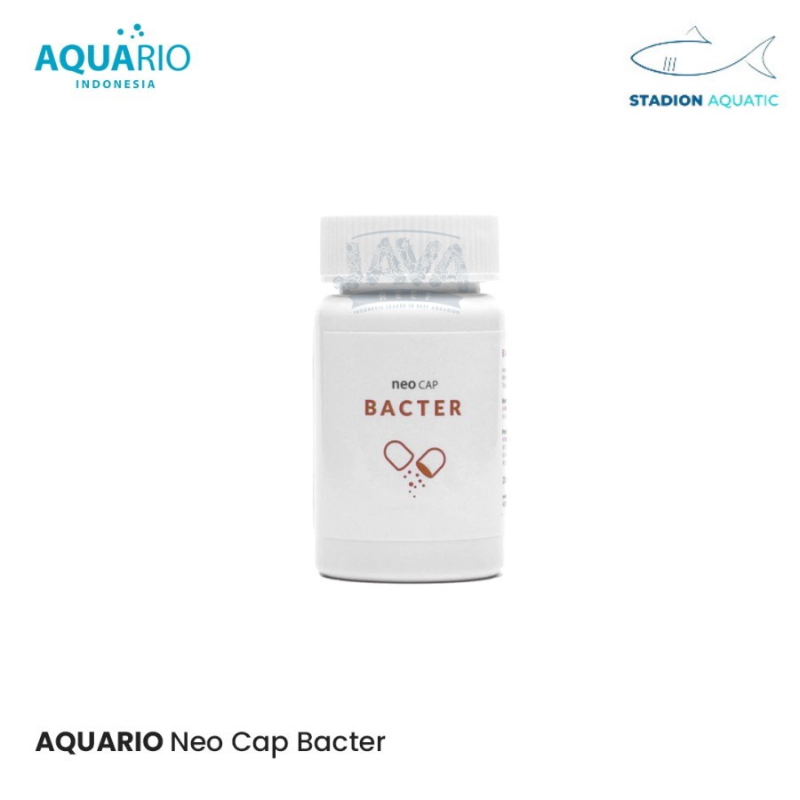 Jual Neo Cap Bacter 30tabs | Shopee Indonesia