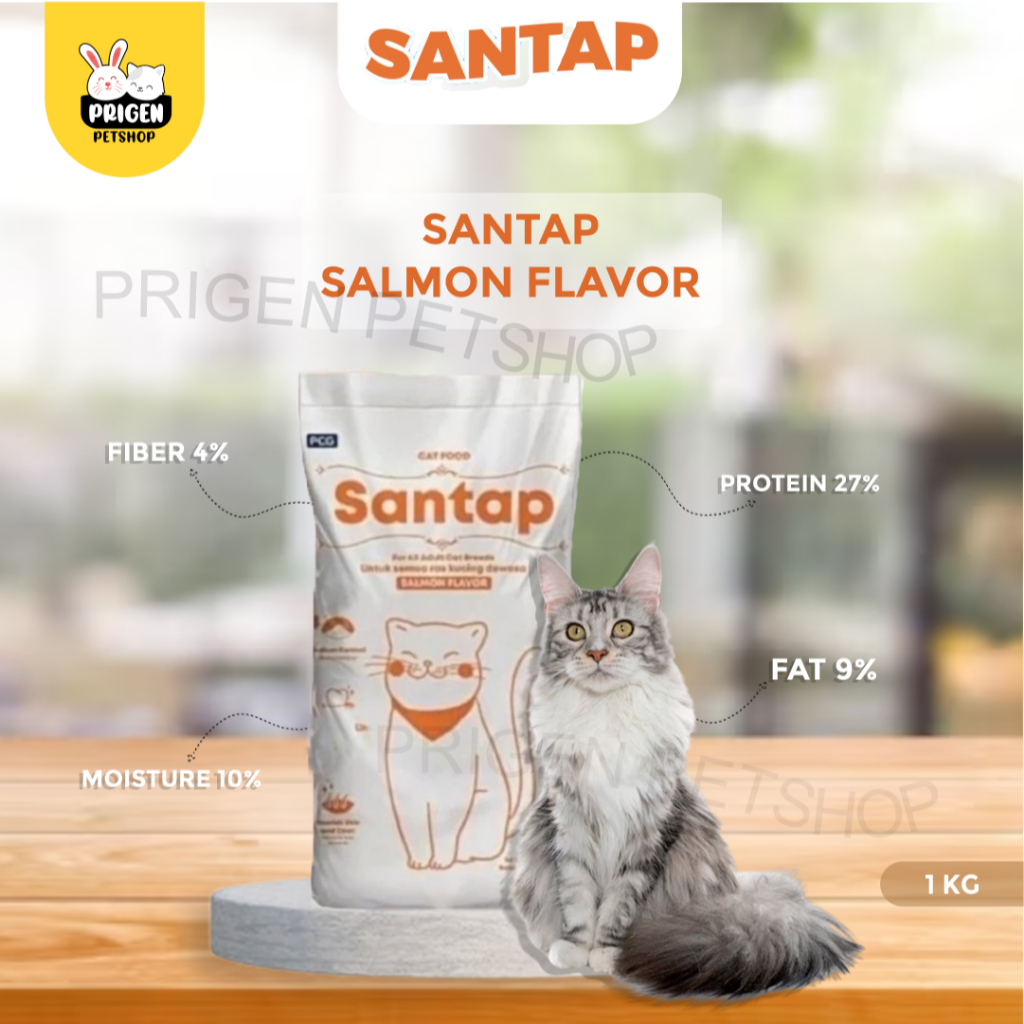 Jual Santap Adult Dry Food Salmon & Tuna 1KG - Pakan Kucing - Makanan ...