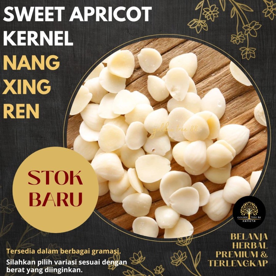 Jual 100gram Nan Xing Ren Sweet Almond Seed Apricot Seed Manis Fresh ...