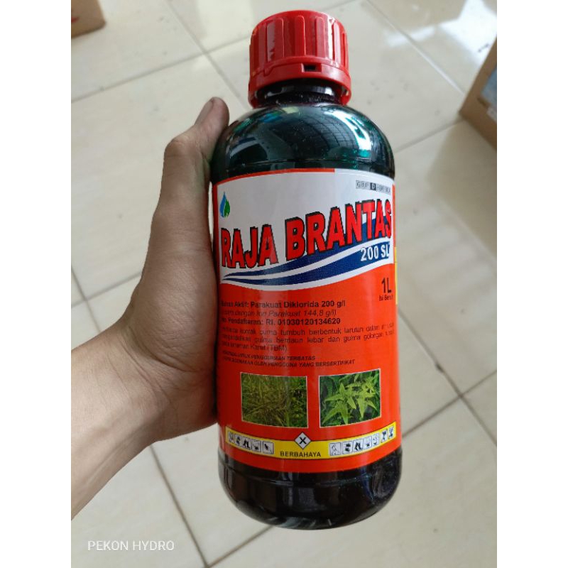 Jual RAJA BRANTAS 200 SL 1 LITER - PEMBASMI GULMA RUMPUT PARAKUAT ...