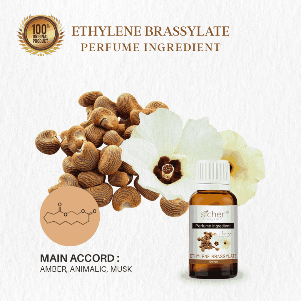 Jual Sicher Natural Isolate Oil (Perfume Ingredient / RAW Material) Ethylene Brassylate 10ml ...