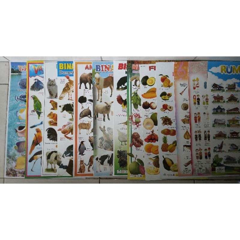 Jual Poster Karton | Shopee Indonesia