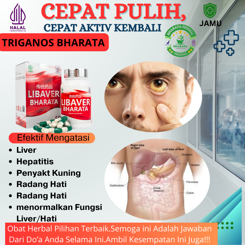 Jual Obat LIVER & Hepatitis PENYAKIT KUNING Hepatitis A B C - LIBAVER ...