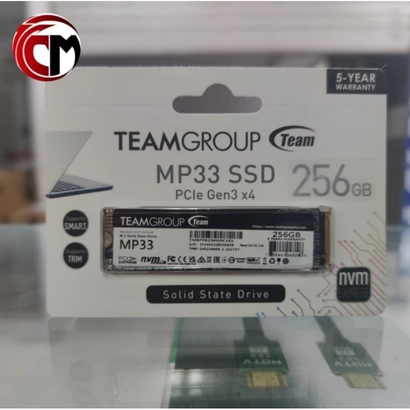 Jual TEAM MP33 SSD M2 2280 NVME 256GB / 512GB / 1TB GEN 3X4 | Shopee ...