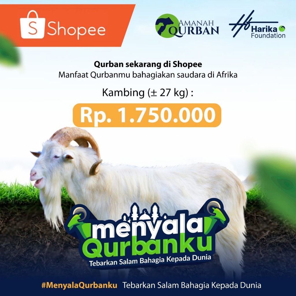 Jual Kurban Kambing Afrika - Amanah Qurban | Shopee Indonesia