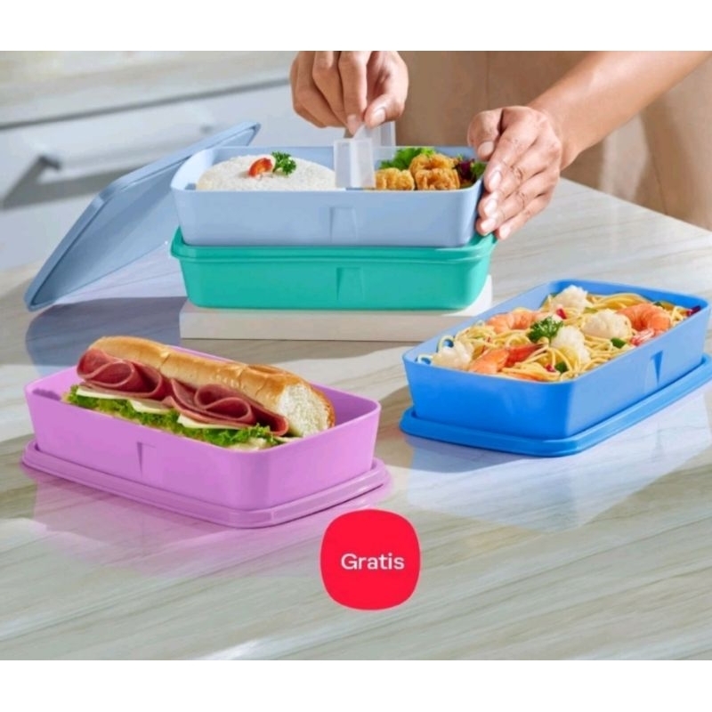 Jual lunch lite tupperware kotak makan | Shopee Indonesia