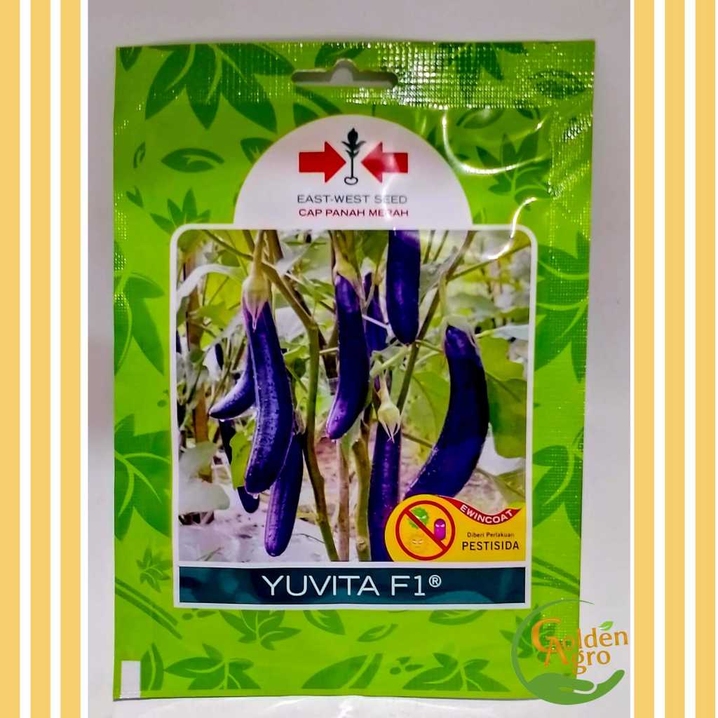 Jual BENIH BIBIT TERONG TERUNG YUVITA F1 PANAH MERAH ANTI VIRUS ISI 400 BUTIR | Shopee Indonesia