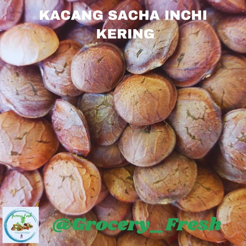 Jual Benih Kacang Sacha Inchi Kacang Bintang Kering Bijian | Shopee ...