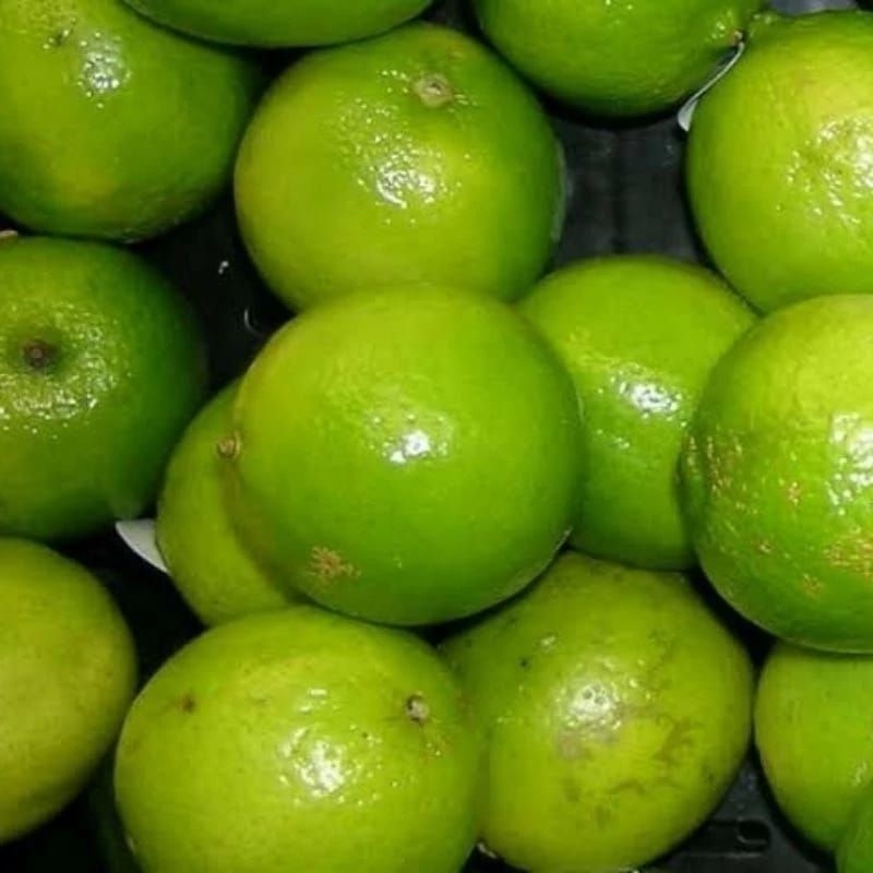 Jual Jeruk Nipis 1 KG | Shopee Indonesia