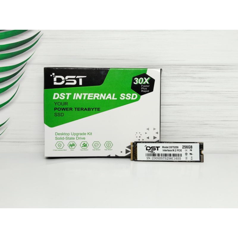 Jual PROMO ~ SSD M2 Sata 256Gb DST Garansi 5tahun | Shopee Indonesia