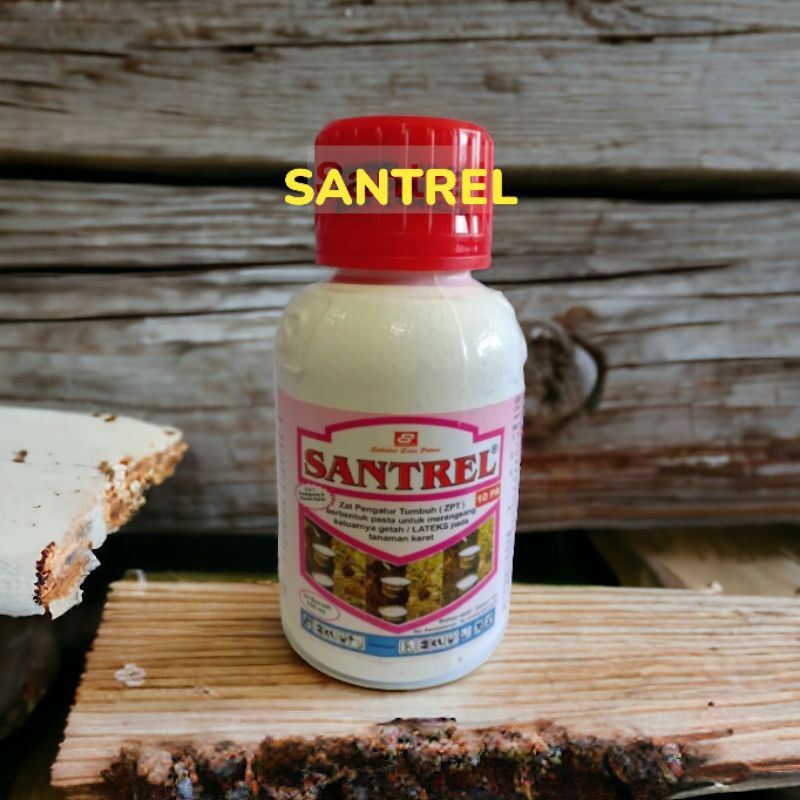 Jual SANTREL 10 PA 100ML ZPT PERANGSANG GETAH KARET | Shopee Indonesia