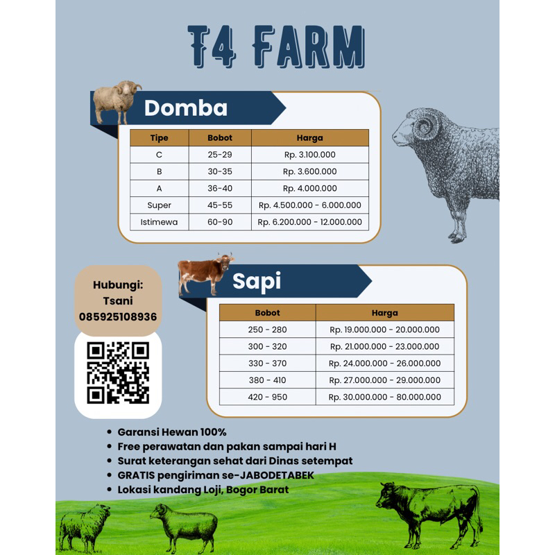 Jual Kambing Domba Sapi Kurban Qurban | Shopee Indonesia