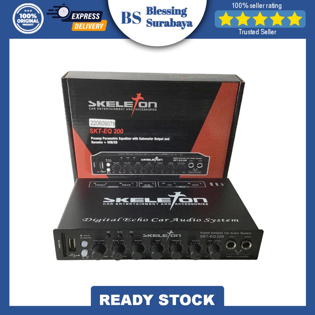 Jual Preamp parametrik Equalizer Skeleton SKT-EQ-200 USB/SD CARD | Shopee Indonesia