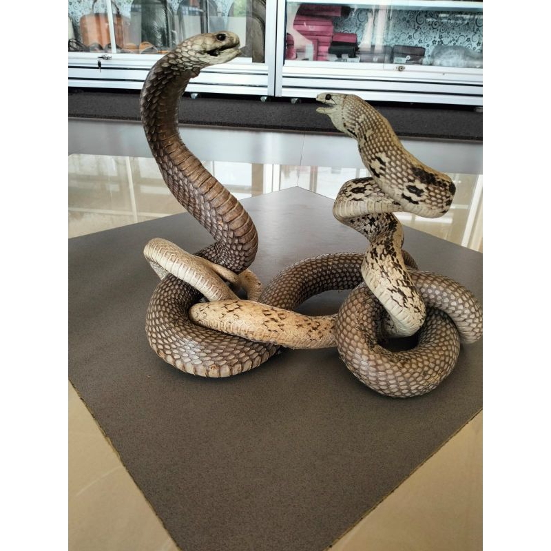 Jual patung ular cobra dobel tarung | Shopee Indonesia
