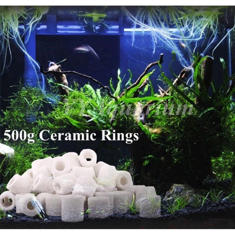 Jual Bioring Bio care Ceramic ring filter Aquarium aquascape 500gr ...