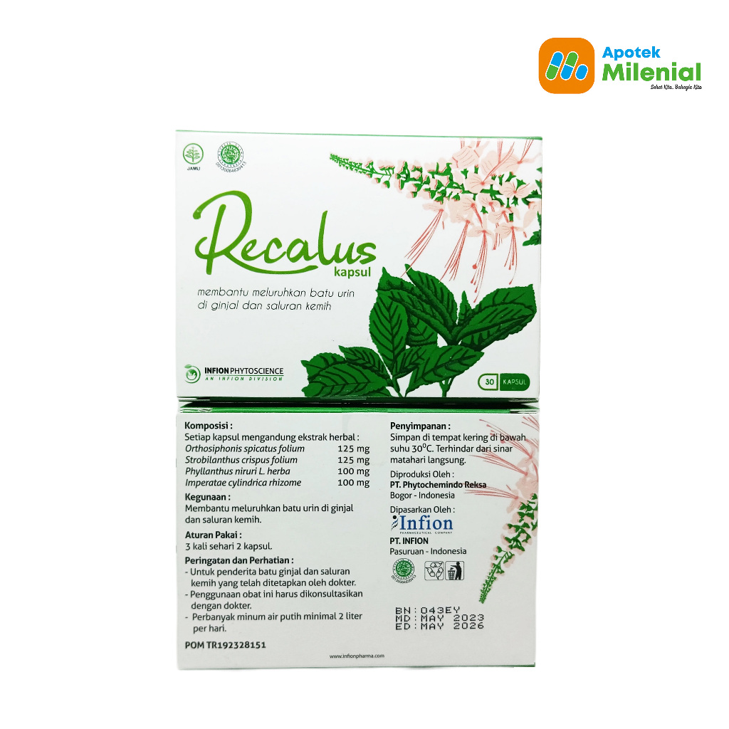 Jual Recalus isi 10 Kapsul / Membantu Meluruhkan Batu Urin Di Ginjal ...