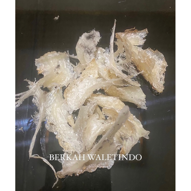 Jual Sarang walet ukuran kecil 2 cm an (harga per gram) | Shopee Indonesia