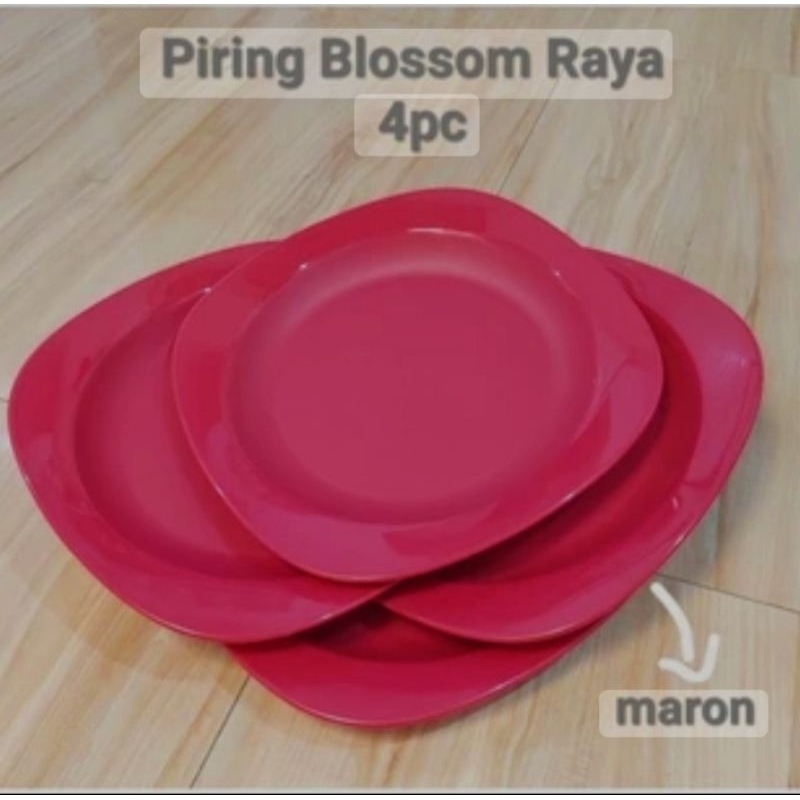 Jual Tupperware Original Raya Plate Dapat 4Pcs | Shopee Indonesia
