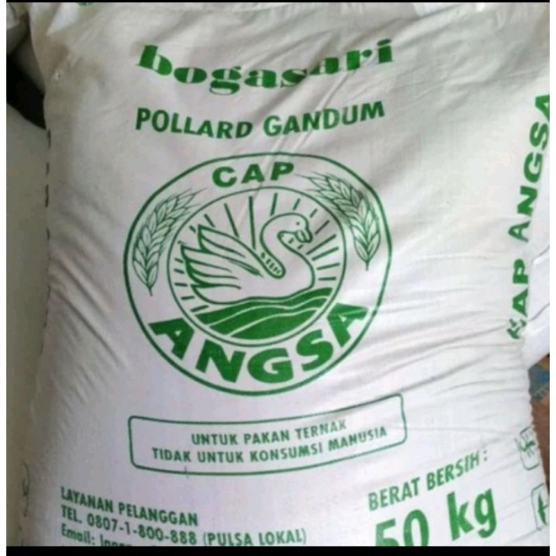 Jual POLLARD GANDUM CAP ANGSA PAKAN HEWAN SAPI KAMBING DOMBA AYAM BEBEK ...